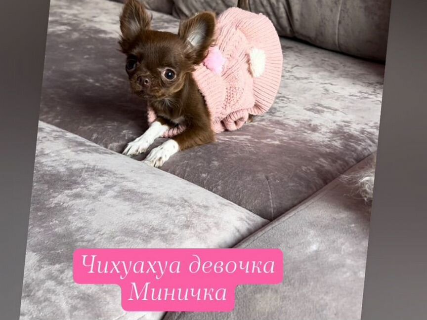 Девочка в платьице розовом