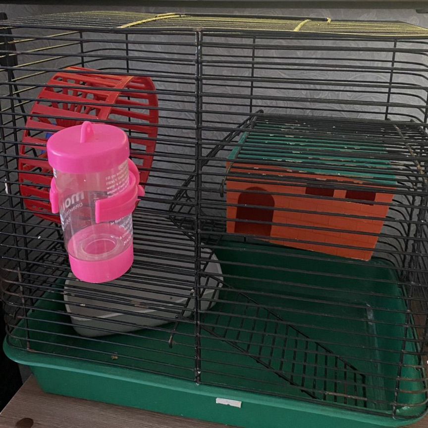 Клетка для джунгарского хомяка