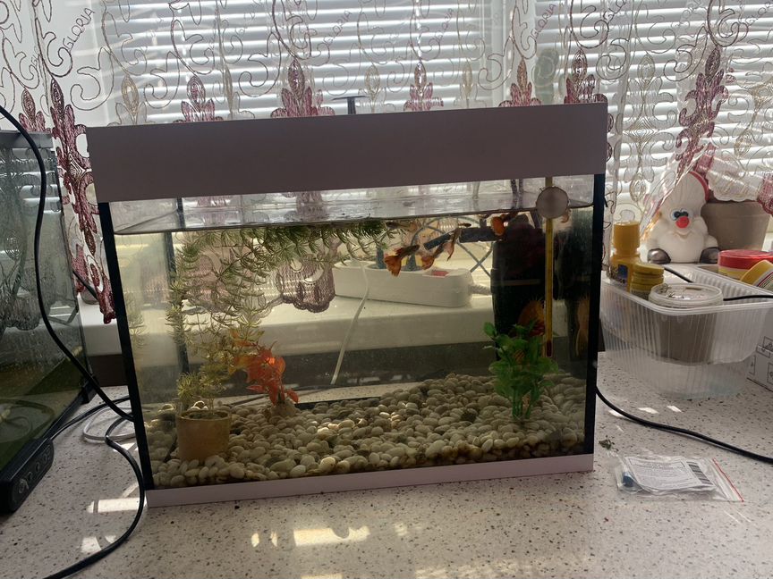 Аквариум 20 литров