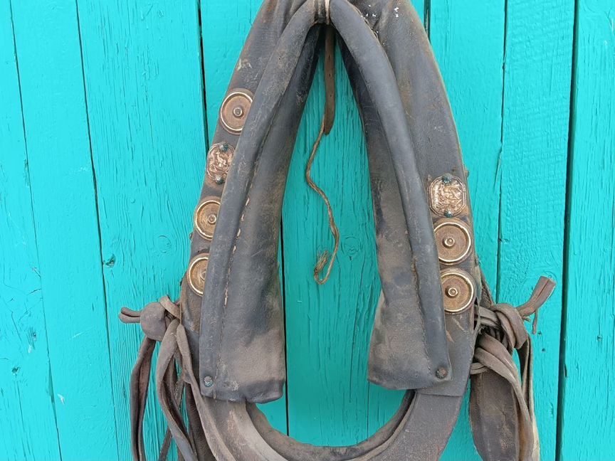 Хомут для лошади