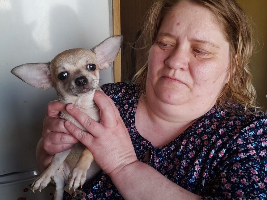 Маленький щеночек