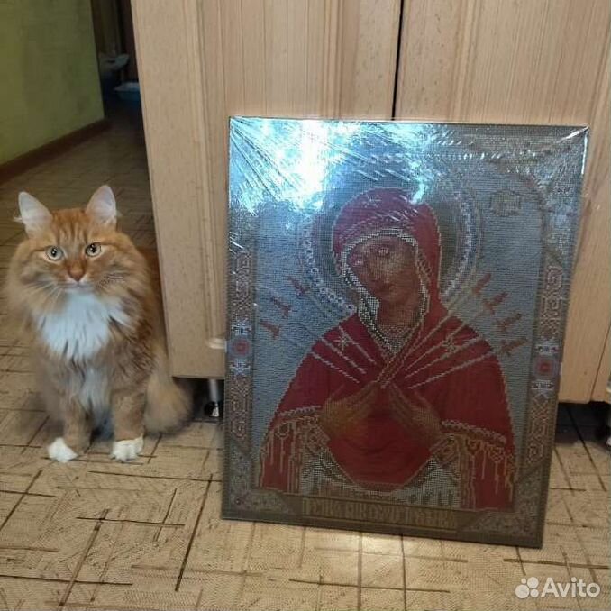 Бесплатно Котейка Рыжик