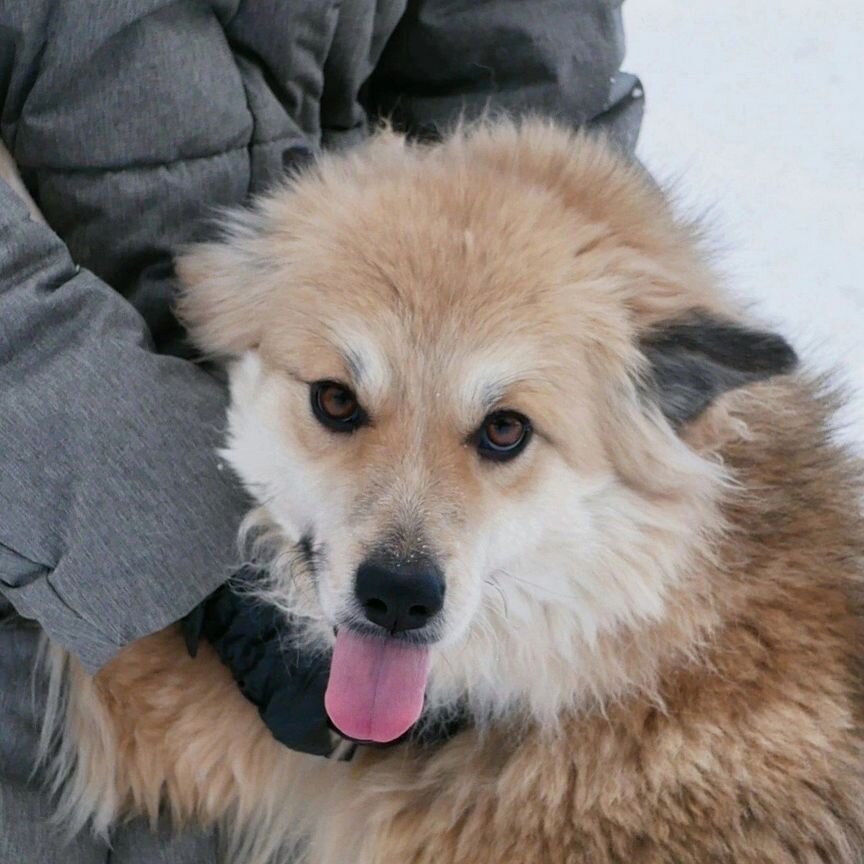 Ласковая Леся