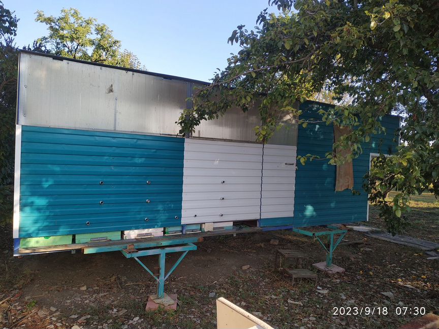 Пчелопавильон с ульями ппу