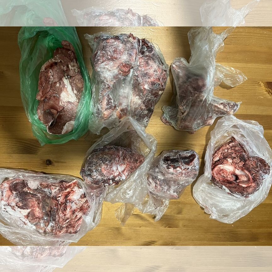 Мясо кости лося 7 кг