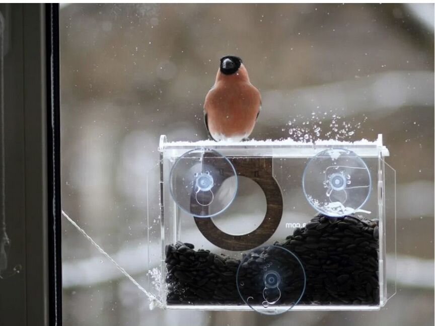 Кормушка для птиц на окно Фотокамера