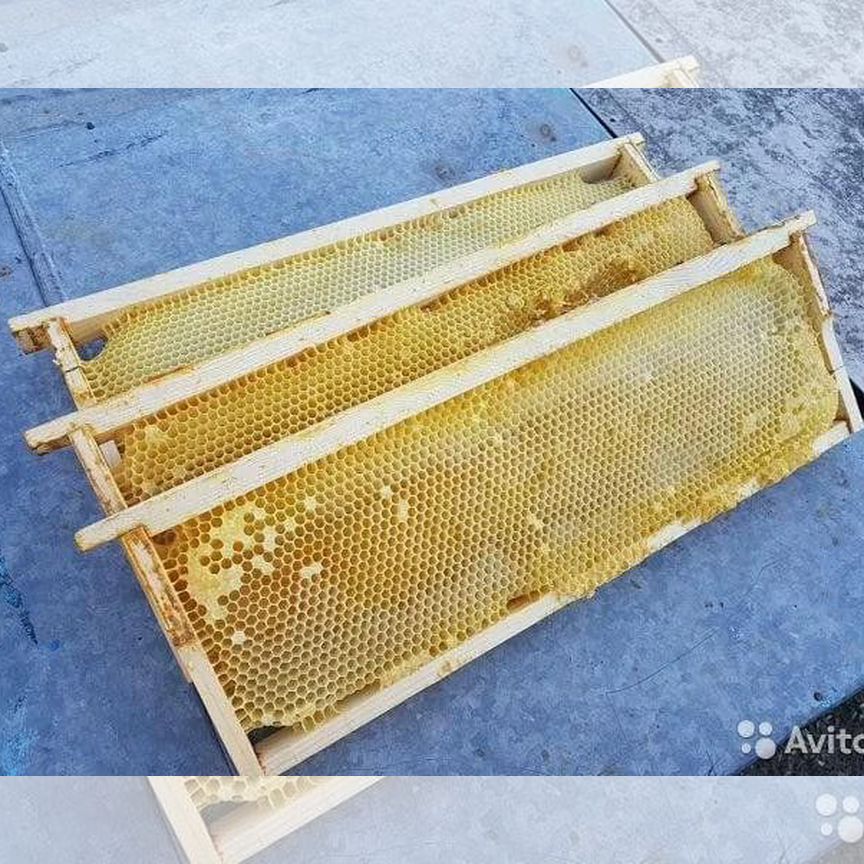 Сушь для пчел
