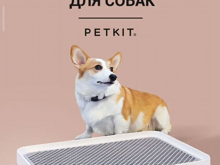Лоток для собак