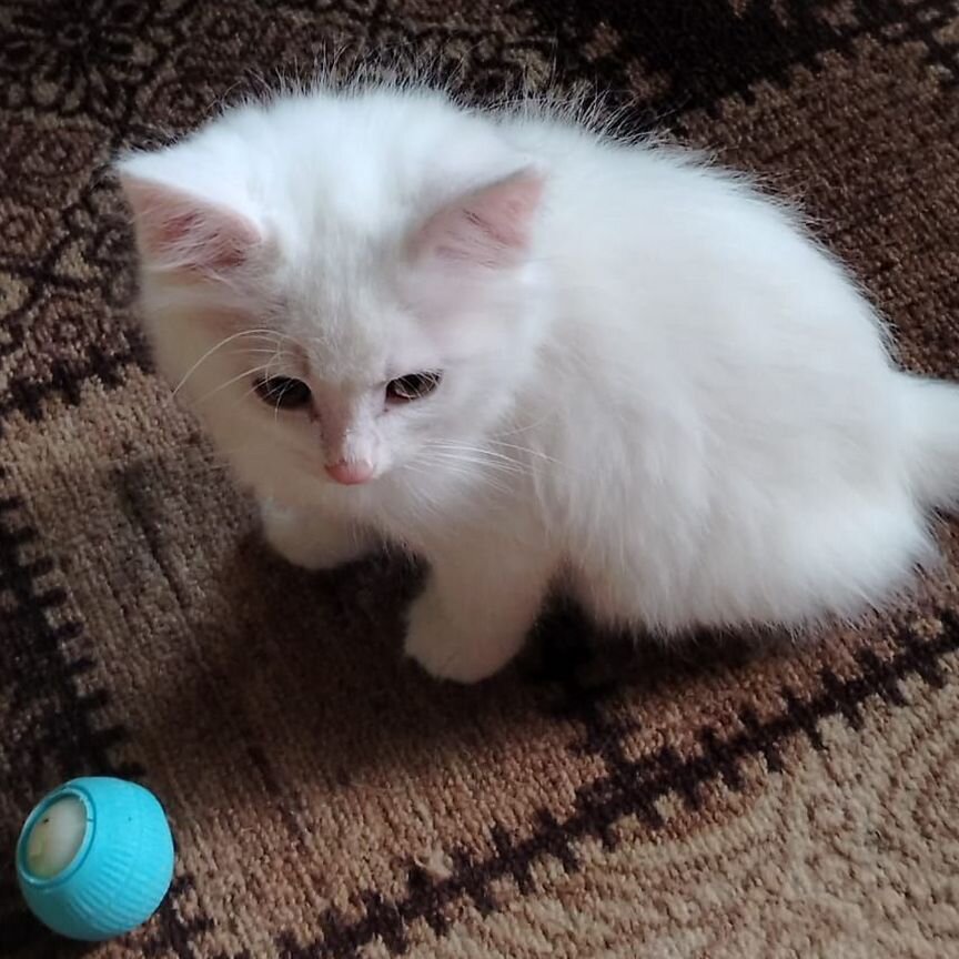 Нежный ребенок