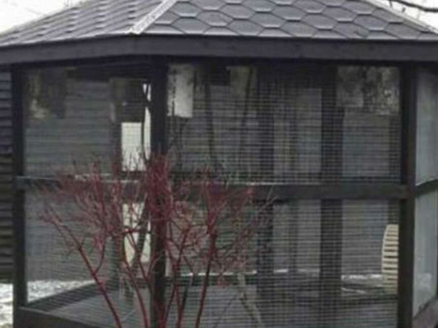 Вольер для белок