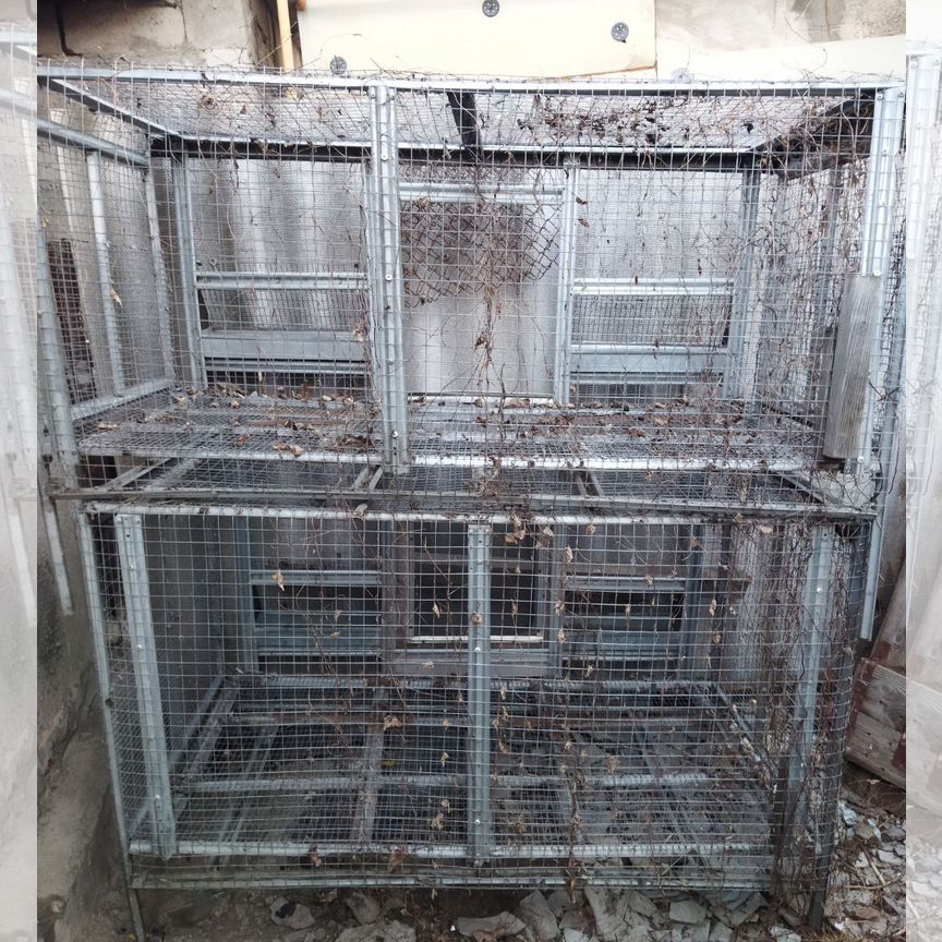 Клетка для кур