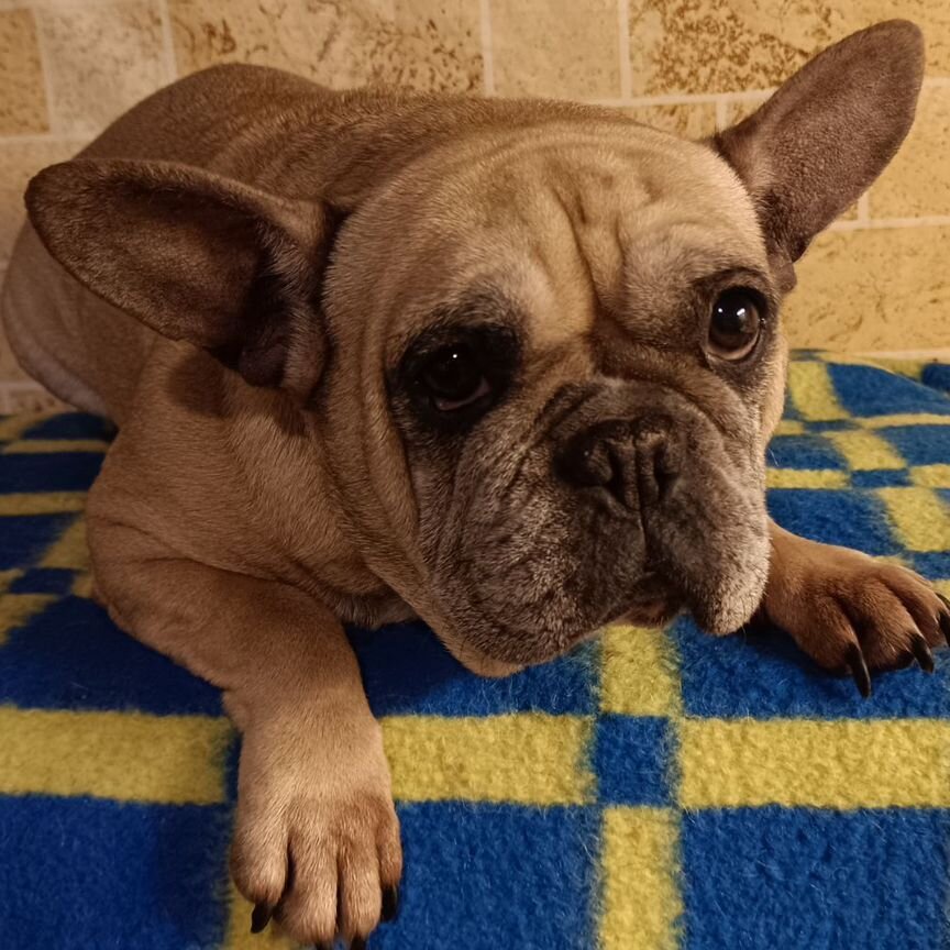 Девочка в ответственные руки