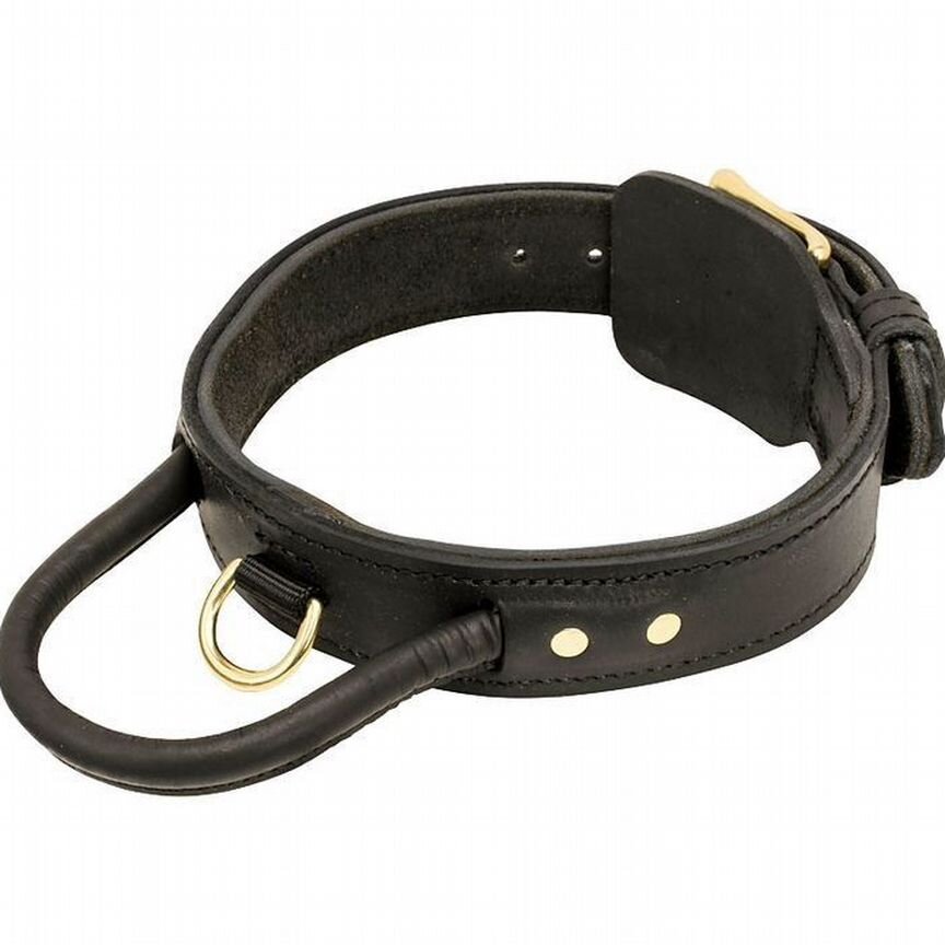 Ошейник для собак