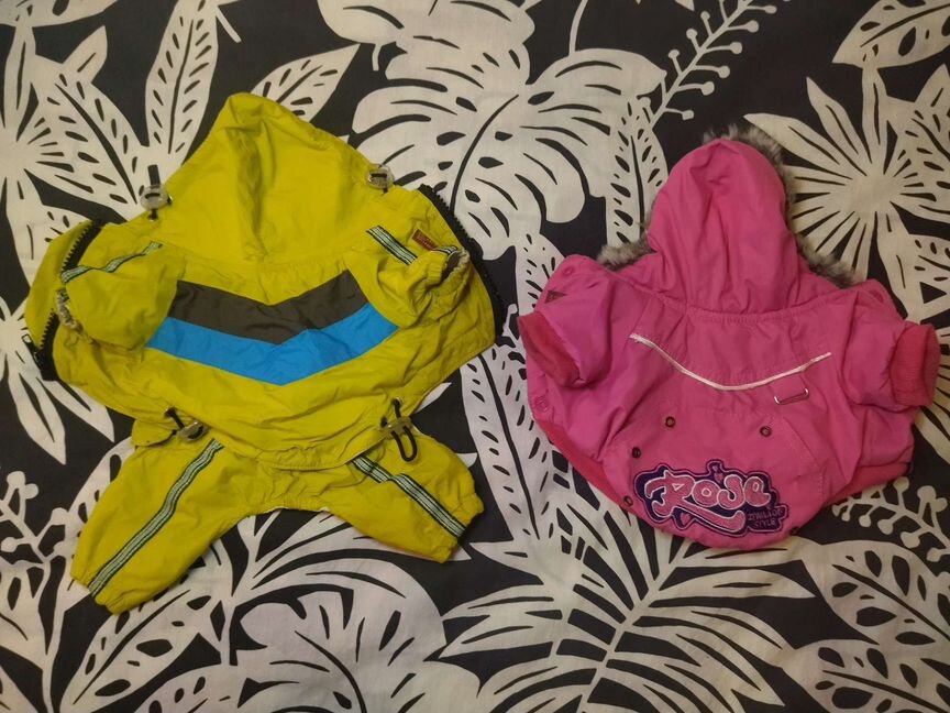 Одежда для маленькой собаки