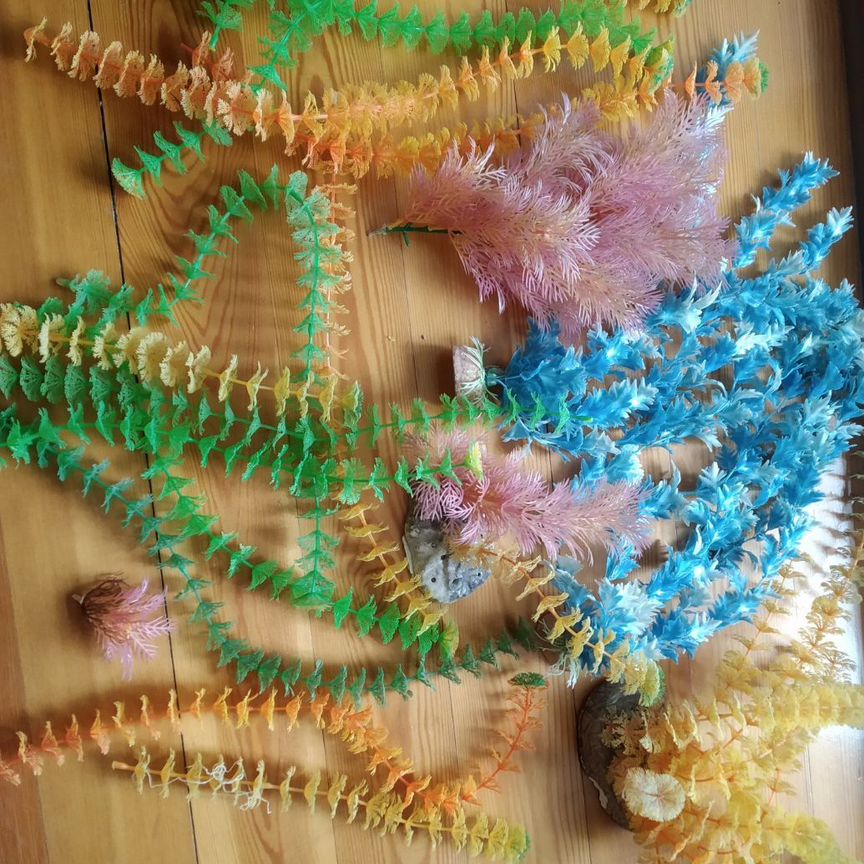 Растения в аквариум