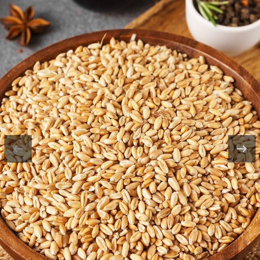 Зерно пшеница 6 тонн, ячмень 3 тонны