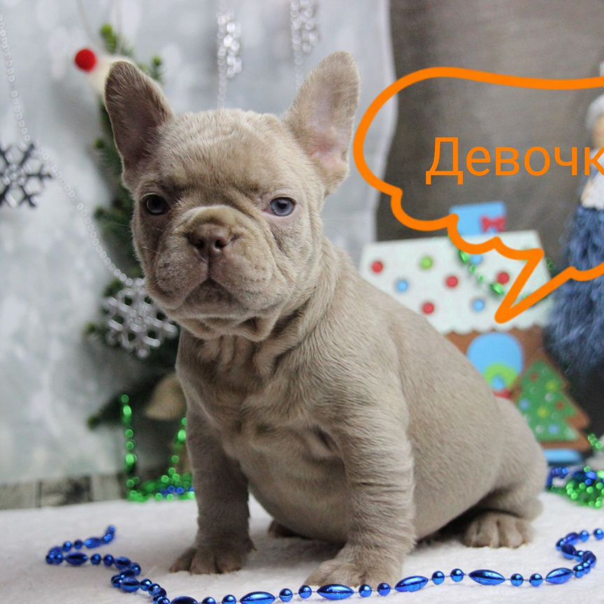 Роскошные карапузы