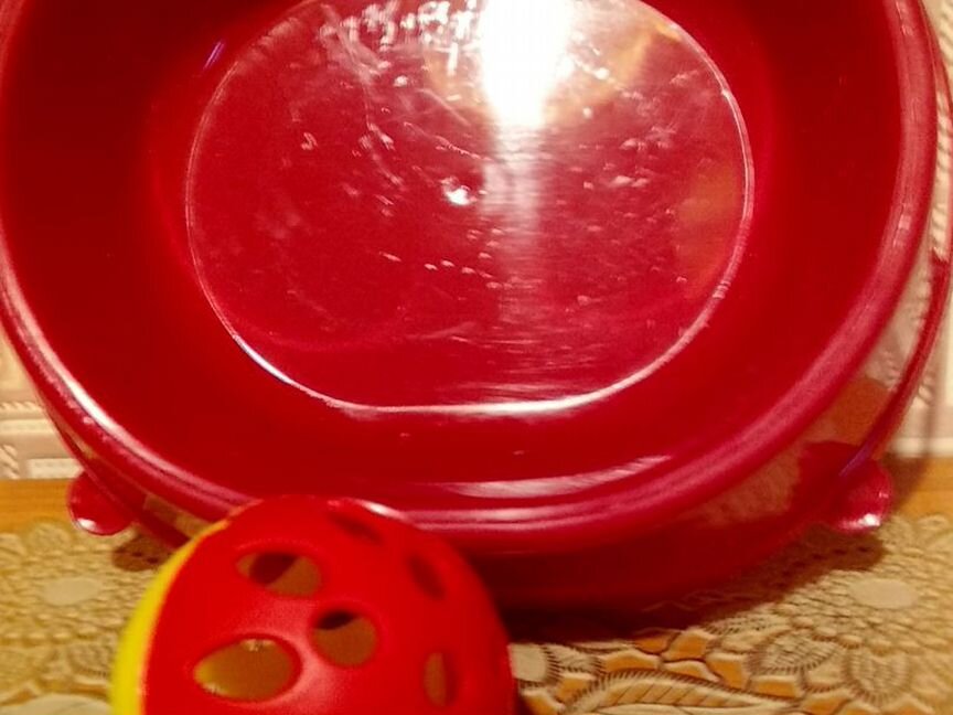 Миска для животных