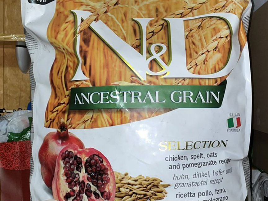 Корм для собак