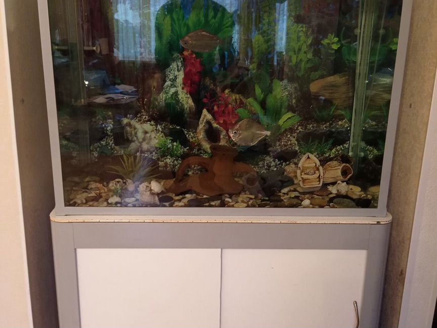 Аквариум с тумбой 300 литров