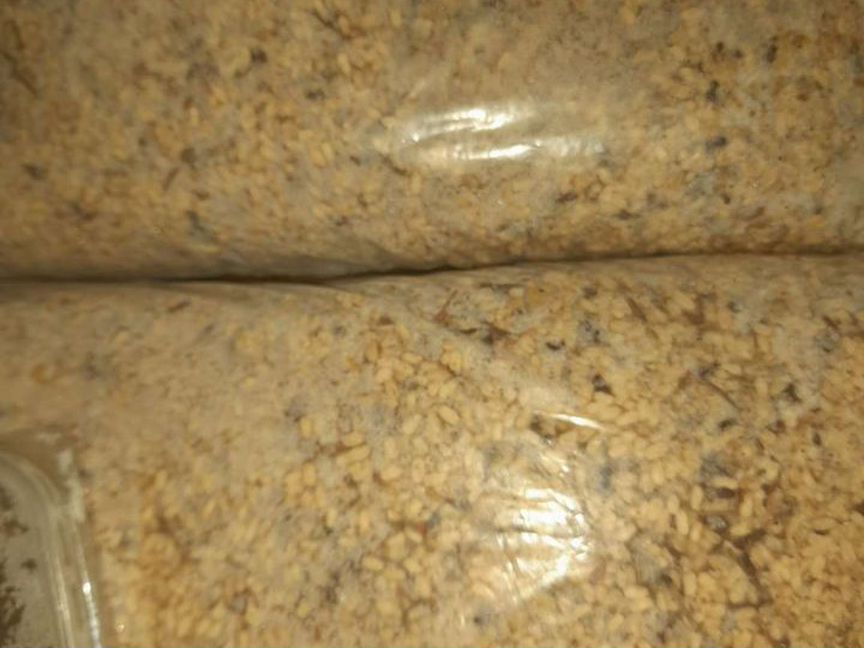 Муравьиное яйцо