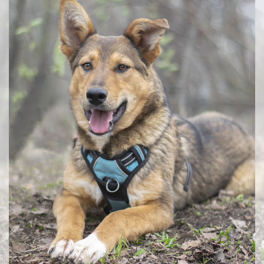 Бруно - сын маминой подруги