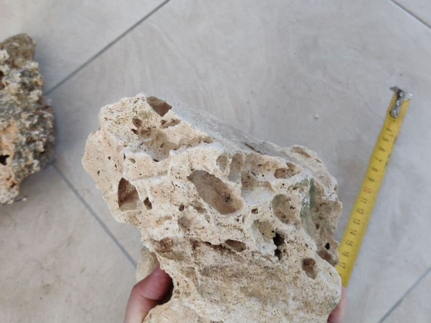 Песчанник для аквариума