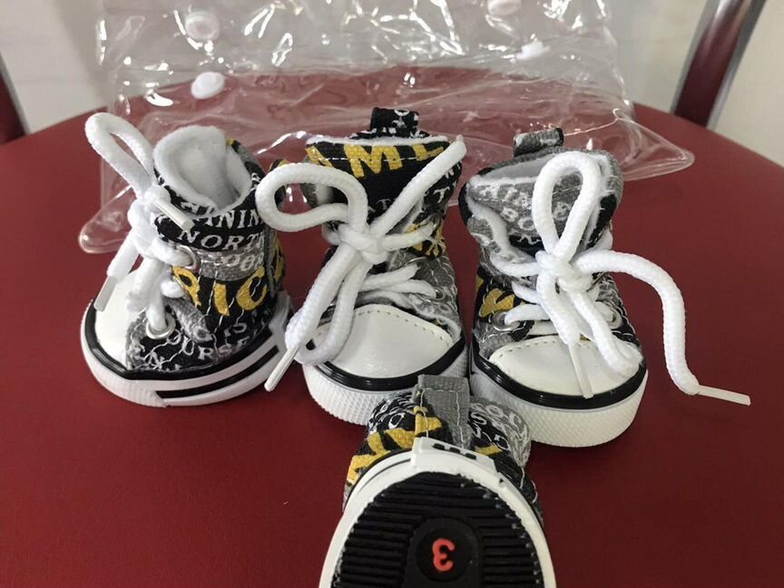 Кеды для малегькой собачки