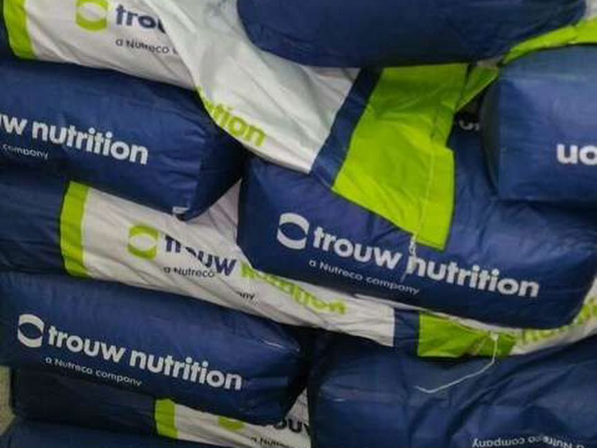 Премикс для свиней