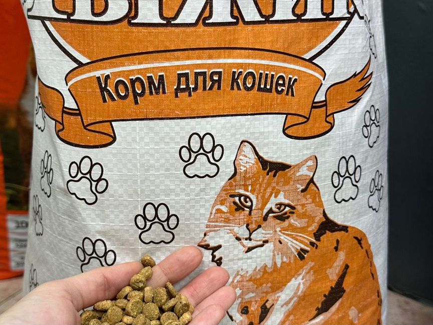 Корм Вожак, Рыжик