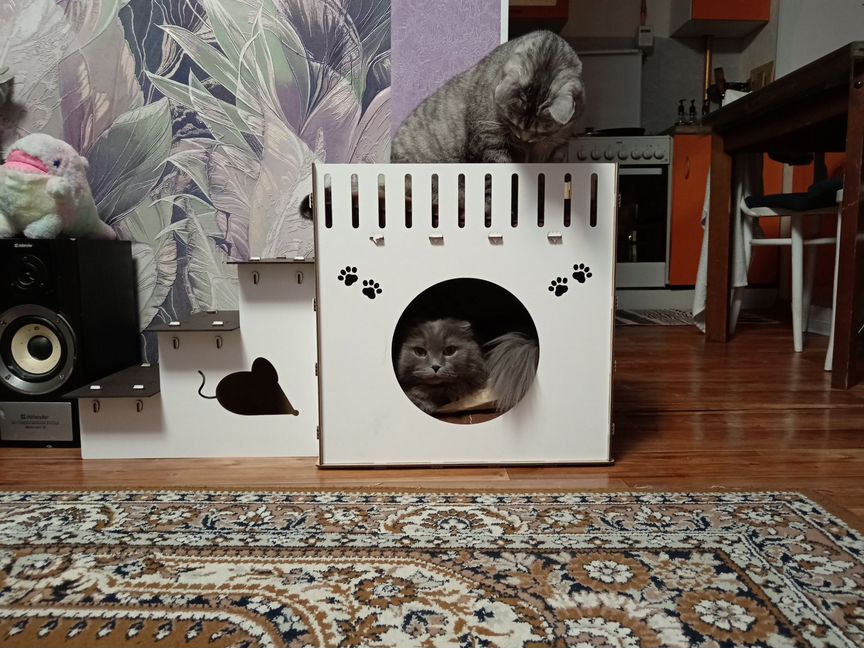 Кошачий домик
