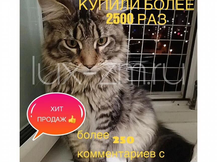 Решетки антикошка