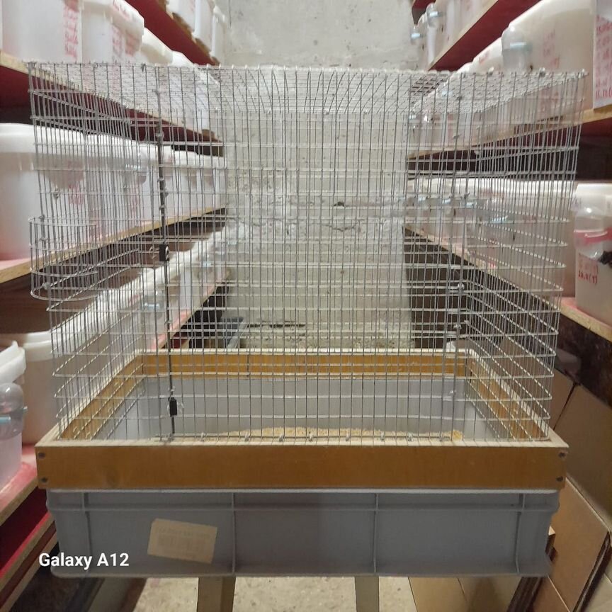 Клетка для грызунов