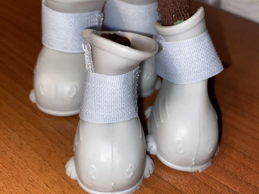 Резиновые сапоги для собаки