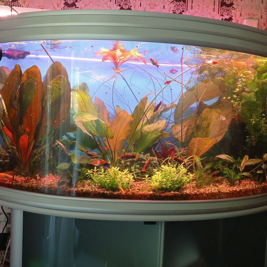 Продам аквариум Aquatlantis 300 литров