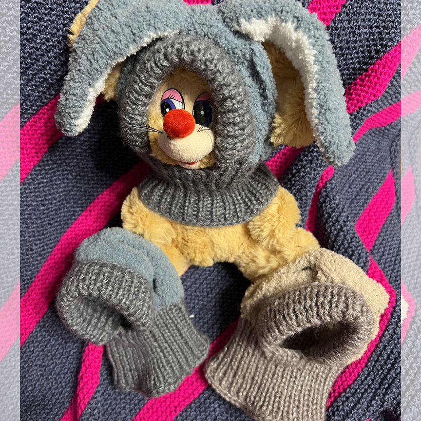 Шапочка для собак и кошек