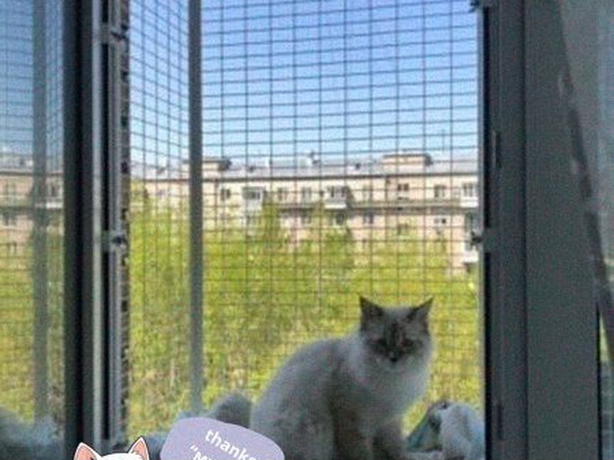 Антикошка Балкон для кошек