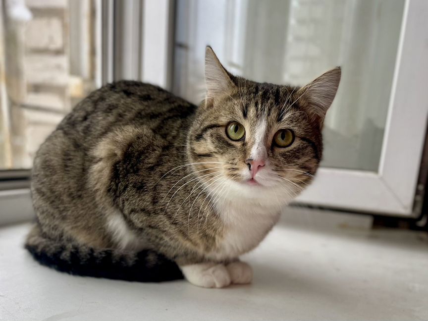 Молодой красавчик в поисках дома