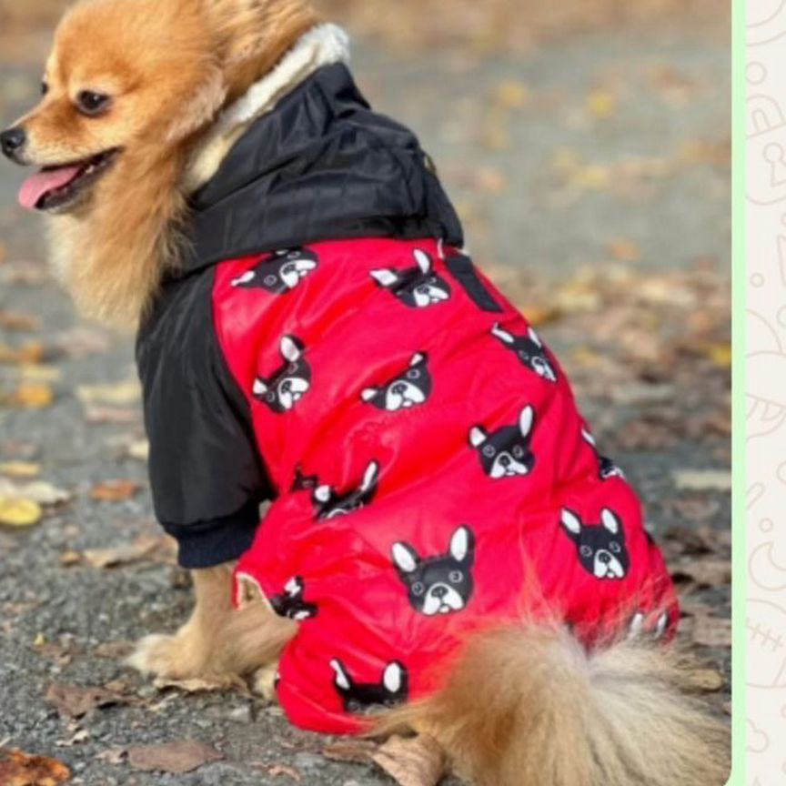 Зимний комбинезон для мелких собак