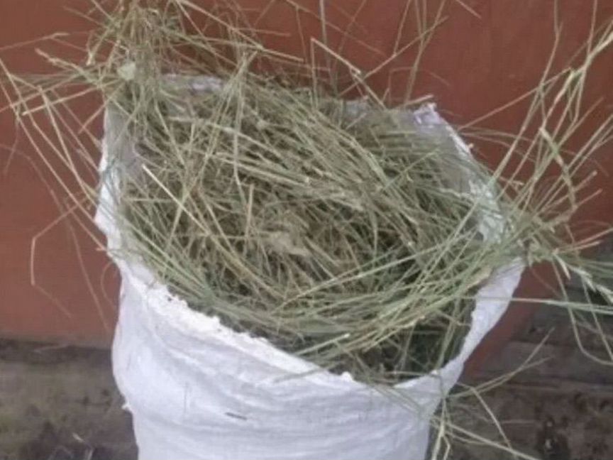 Сено в мешках