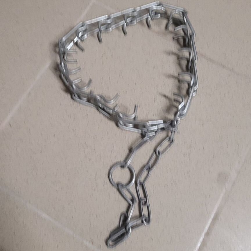 Строгий ошейник для собак