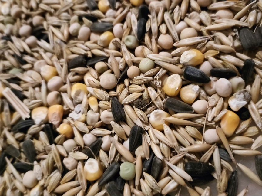 Корм для грызунов