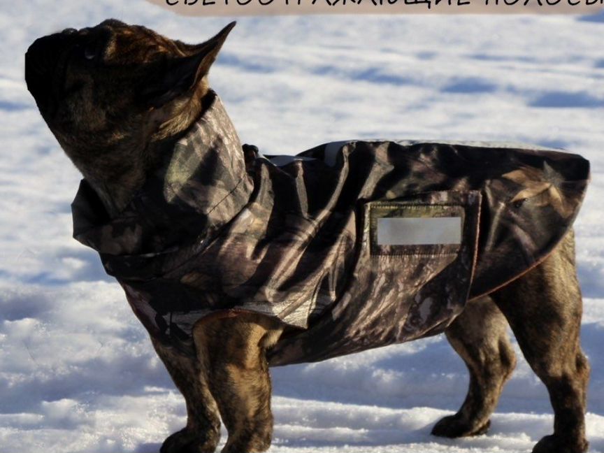 Дождевик утепленный для французского бульдога