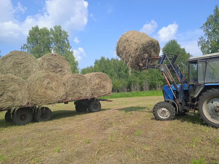 Продам сено в рулонах 500 - 600 кг