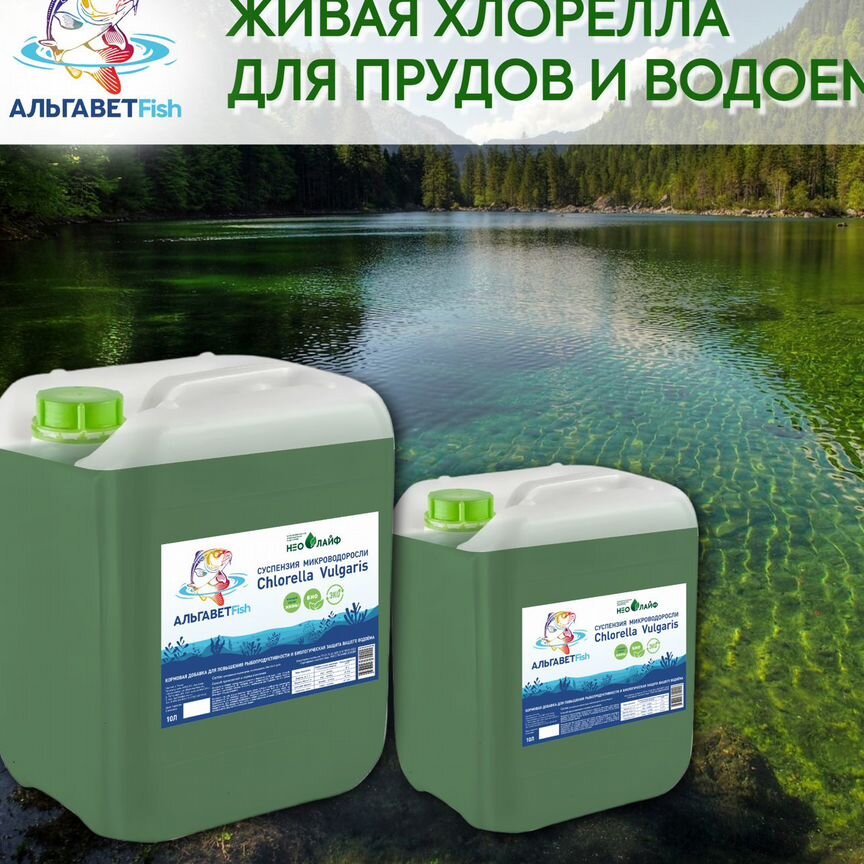 Хлорелла для водоемов Альгавет Fish, канистра 20 л