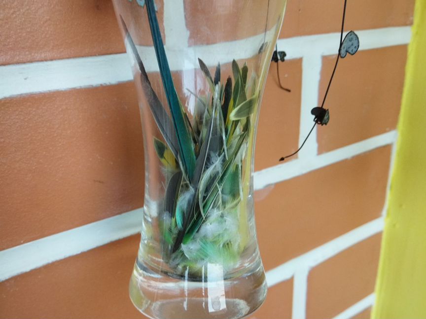 Перья волнистого попугая