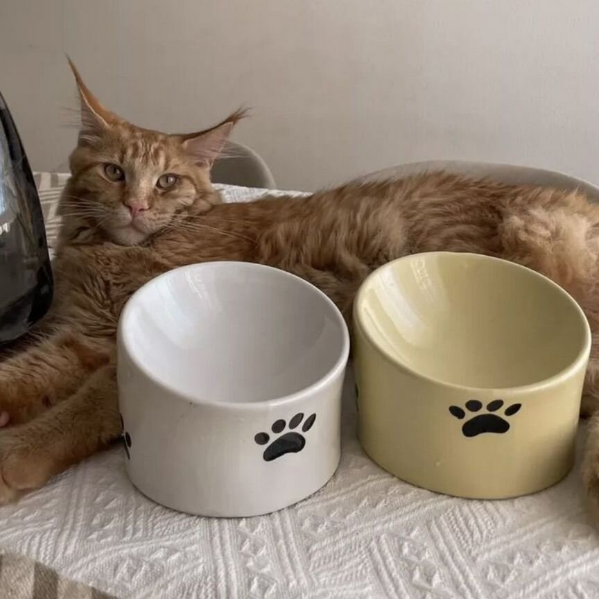 Миски для кошек