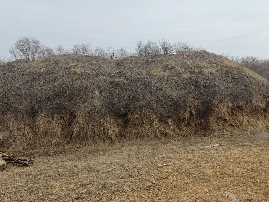 Сено, россыпь