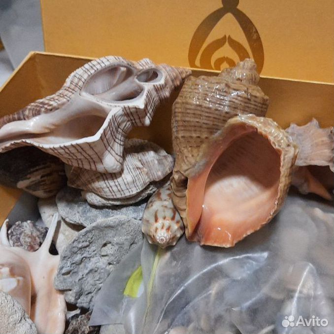 Грот, ракушки, камушки для авариума
