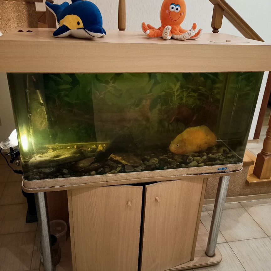 Аквариум с тумбой jebo 200литров
